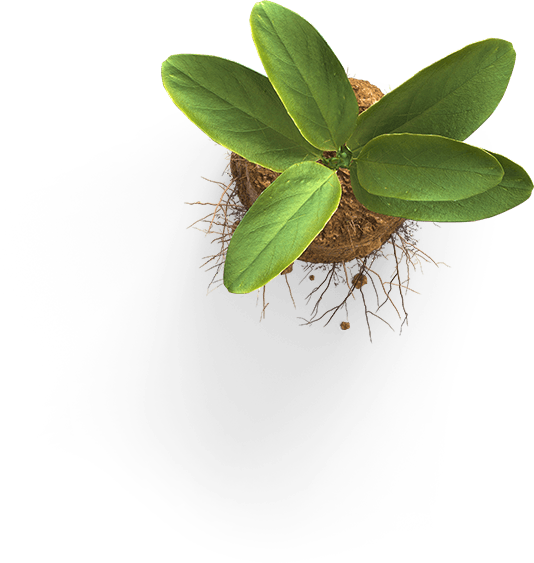 Ihr Friseur Mandy Beck - Ihr Friseursalon in Ötigheim